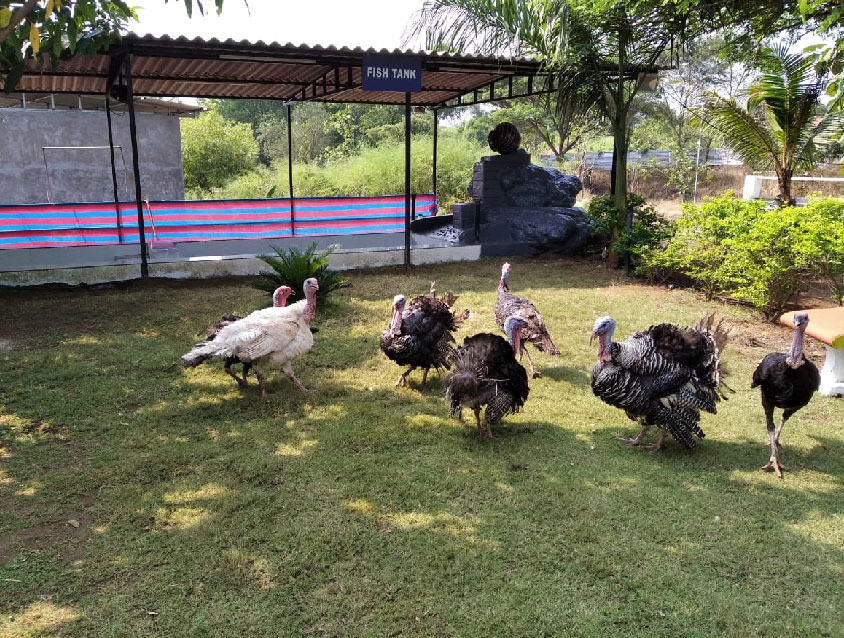 Farmstays for Big Groups - Finest weekend getaway for families and ...