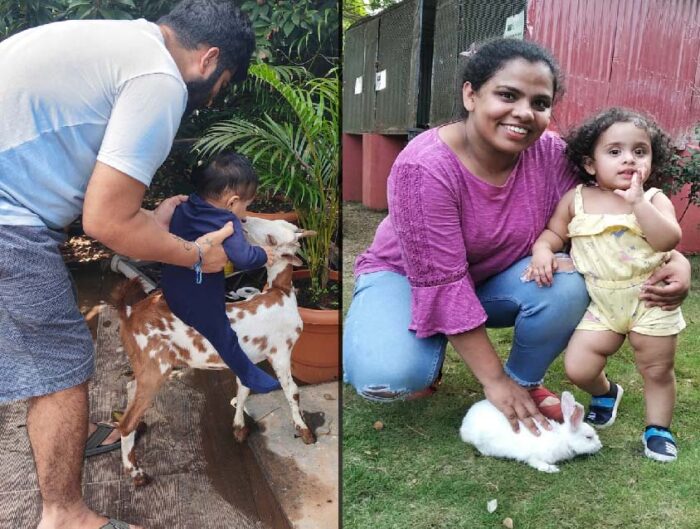 Best Farm stays near Mumbai - With Swimming Pool